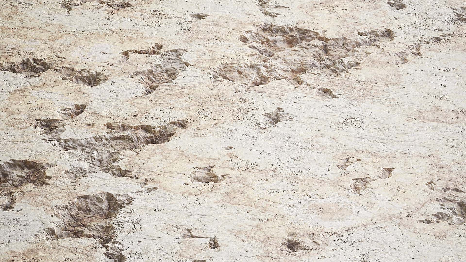 Eroded Beige Rock PBR Texture