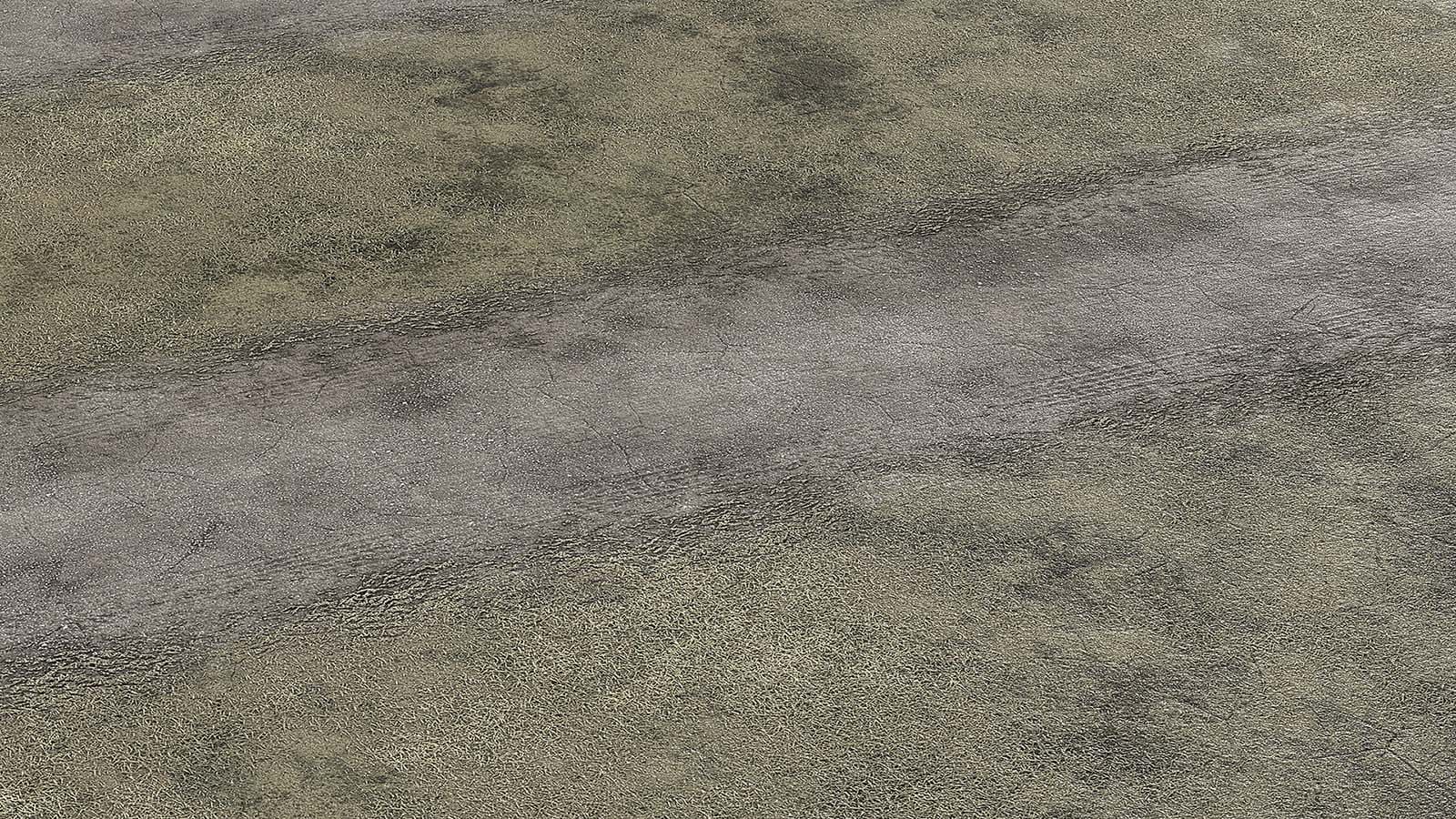 Road with Roadside PBR Texture
