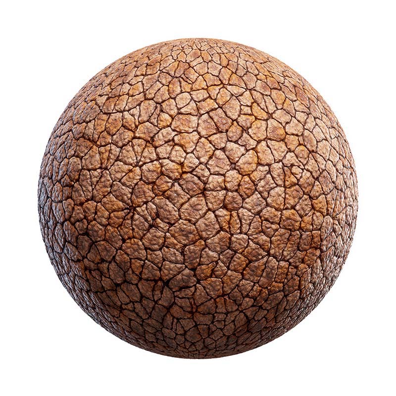 armadillo texture Archives - CGAxis - 3D models, PBR, HDRI for your 3D ...