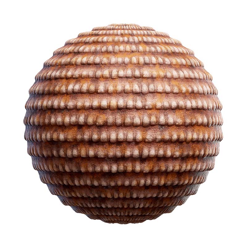 armadillo texture Archives - CGAxis - 3D models, PBR, HDRI for your 3D ...