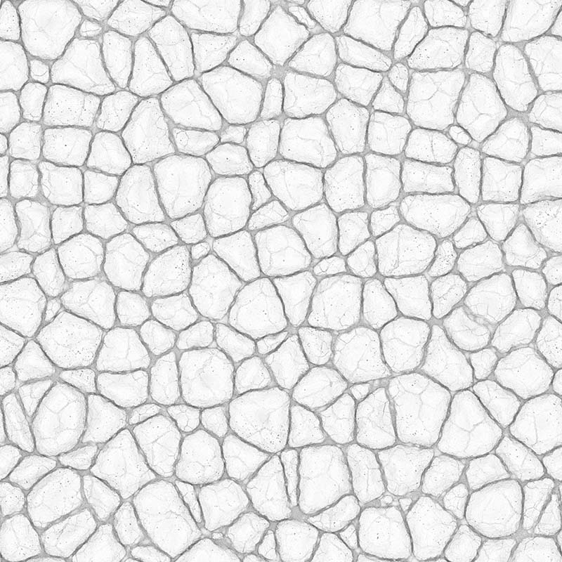 Tortoise Skin PBR Texture