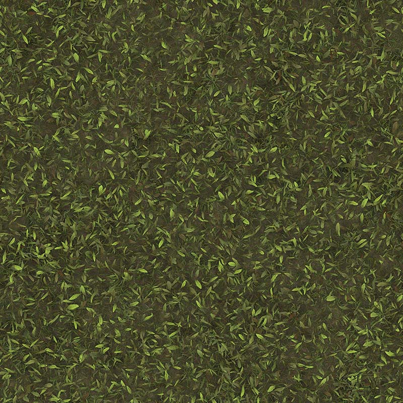 Grass with Plant Leaves PBR Texture