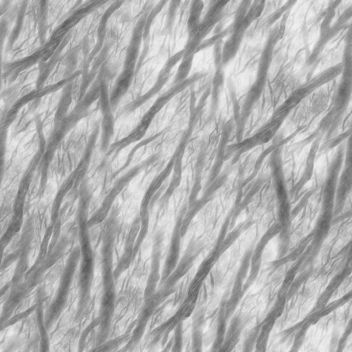 Tree Roots PBR Texture