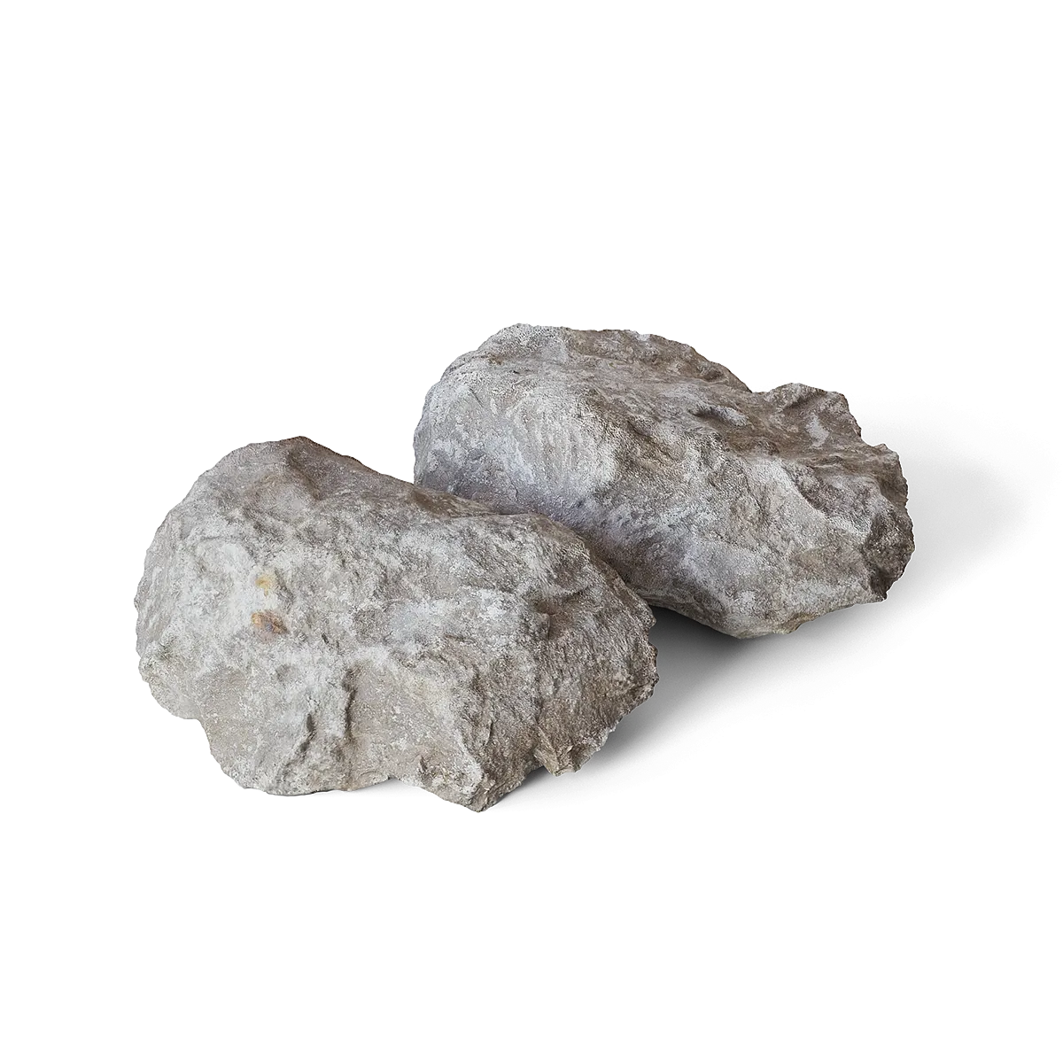 Rock 3D Model
