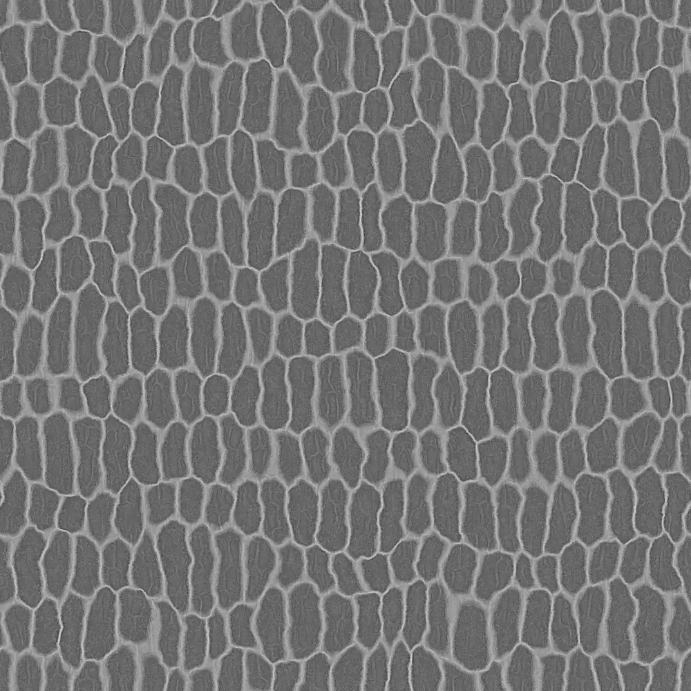 Korean Spruce Bark With Moss