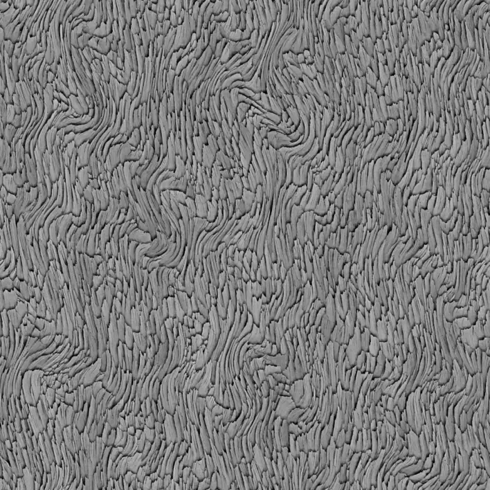 Fantasy Tree Bark PBR Texture