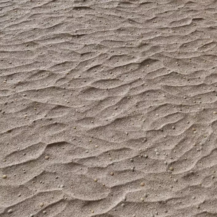 Beach Sand PBR Texture