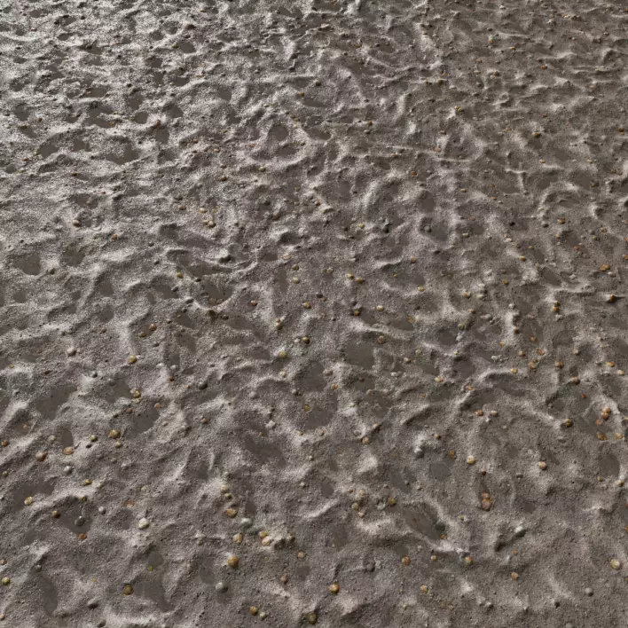 Wet Beach Sand PBR Texture