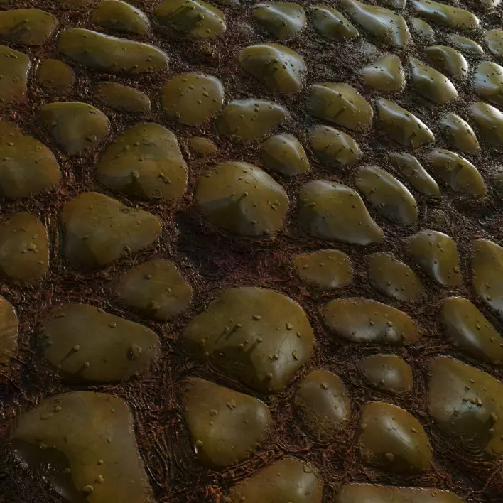Brown Green Biomass PBR Texture