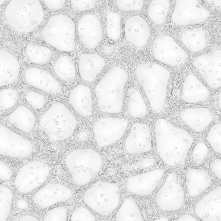 Brown Green Biomass PBR Texture
