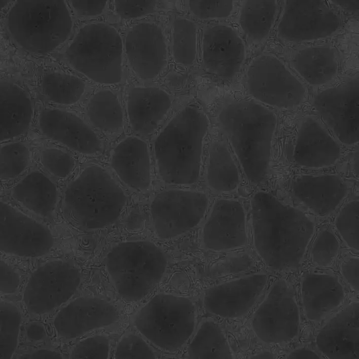 Brown Green Biomass PBR Texture