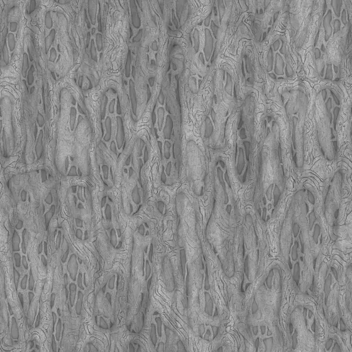 Fig Tree Bark PBR Texture