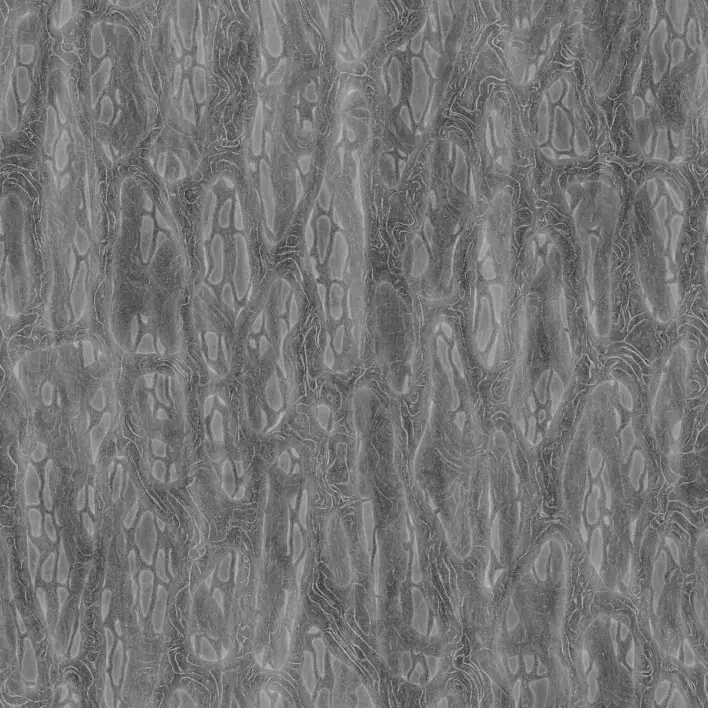 Fig Tree Bark PBR Texture