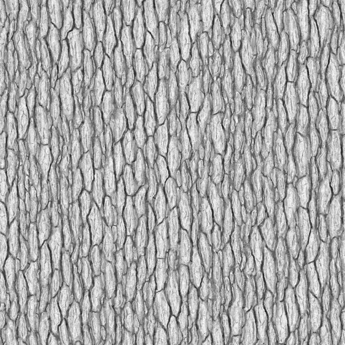 Mossy Pine Tree Bark PBR Texture