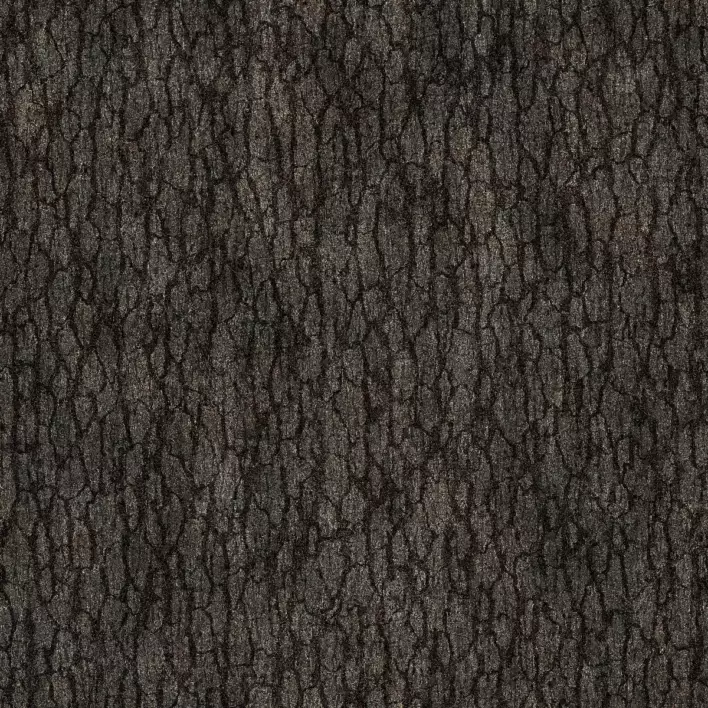 Spruce Tree Bark PBR Texture