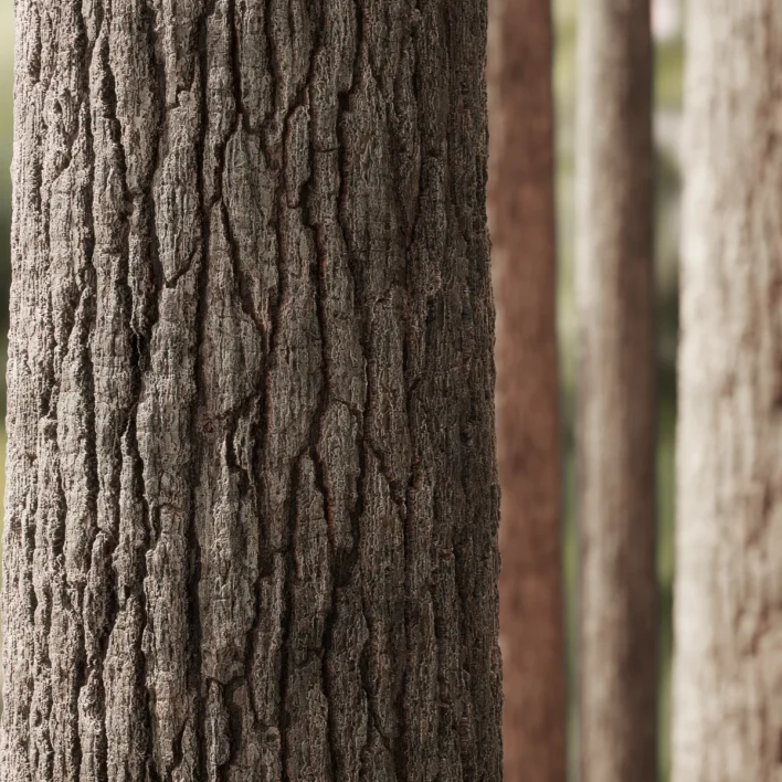 Oak Tree Bark PBR Texture