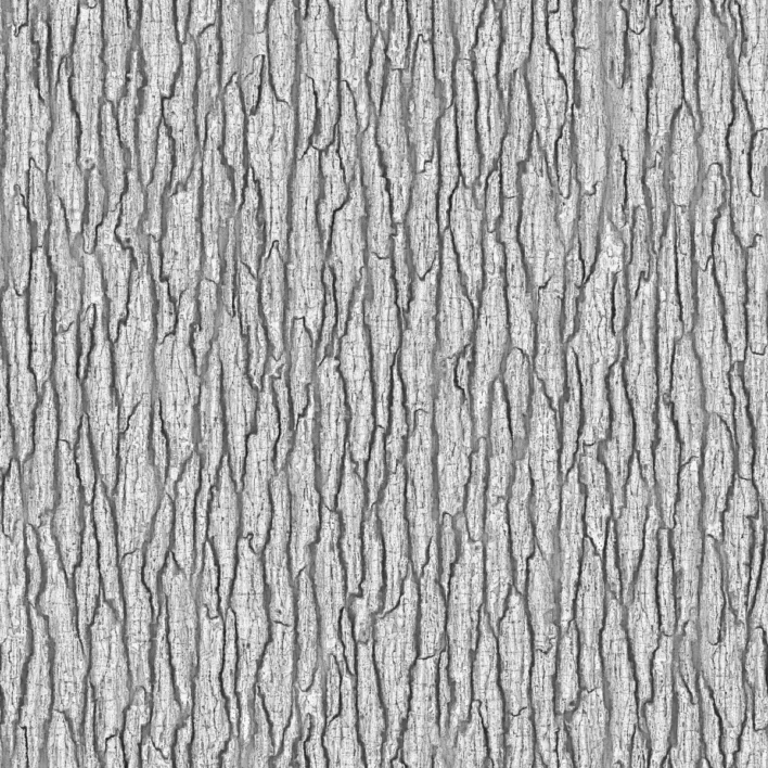 Oak Tree Bark PBR Texture