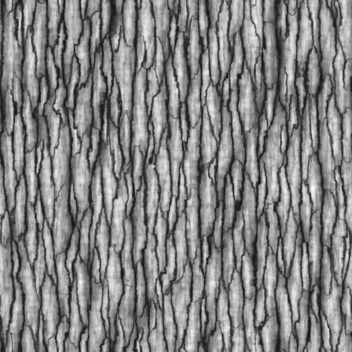 Oak Tree Bark PBR Texture