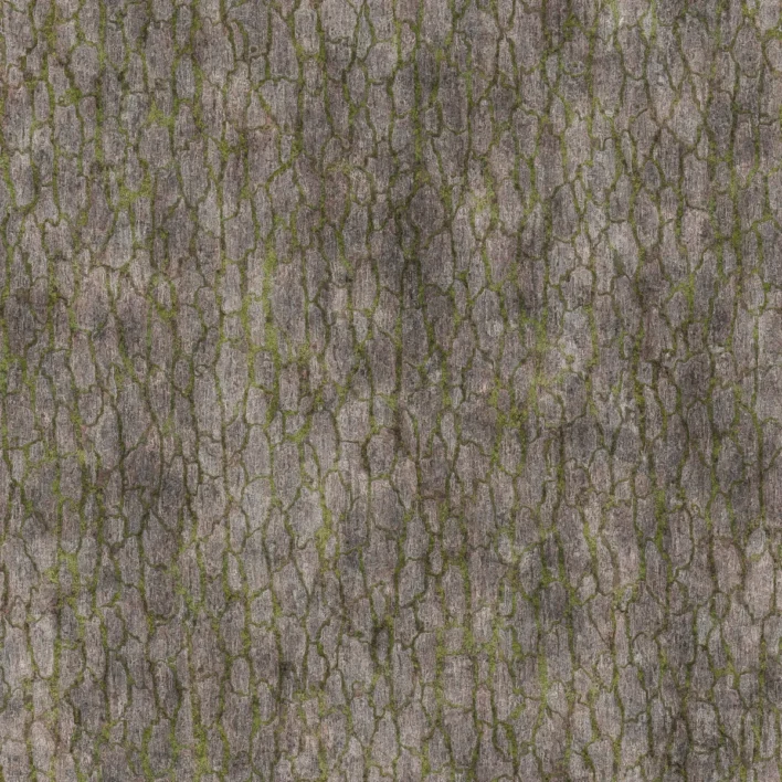 Oak Tree Bark PBR Texture