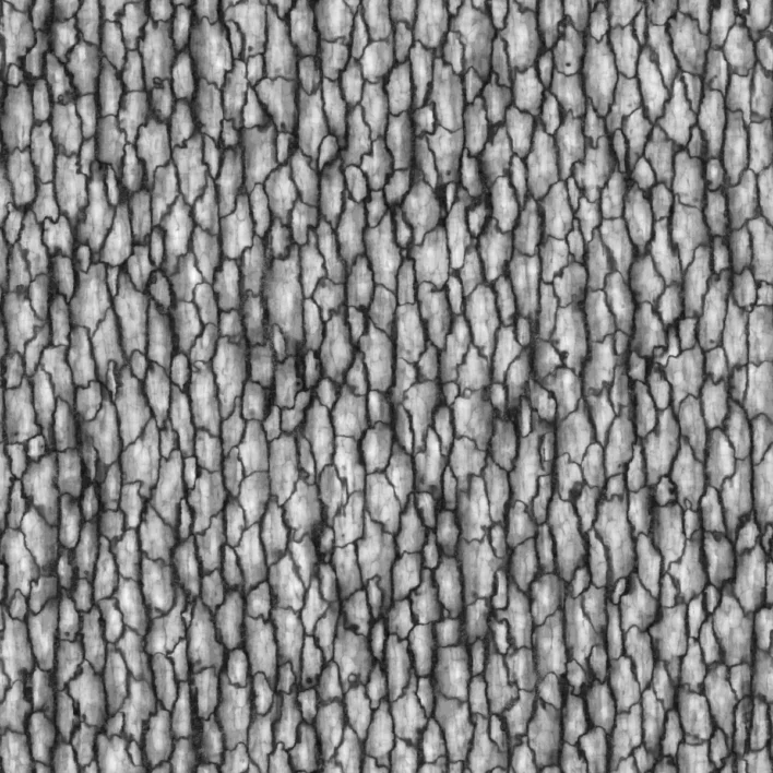 Oak Tree Bark PBR Texture