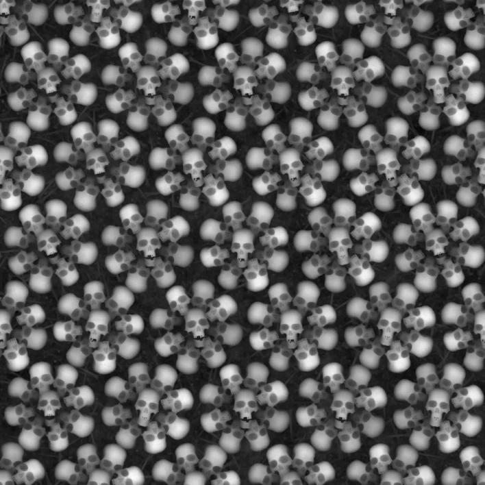 Skull Pattern Ground PBR Texture