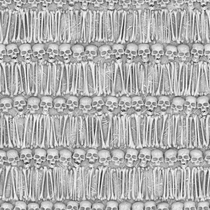 Skull Pattern Ground PBR Texture