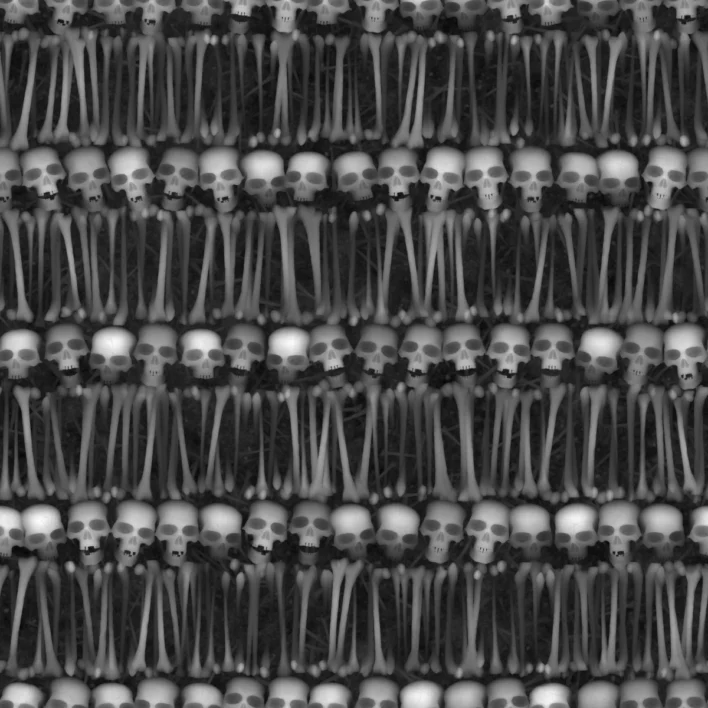 Skull Pattern Ground PBR Texture