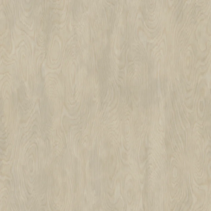 White Birch Wood PBR Texture