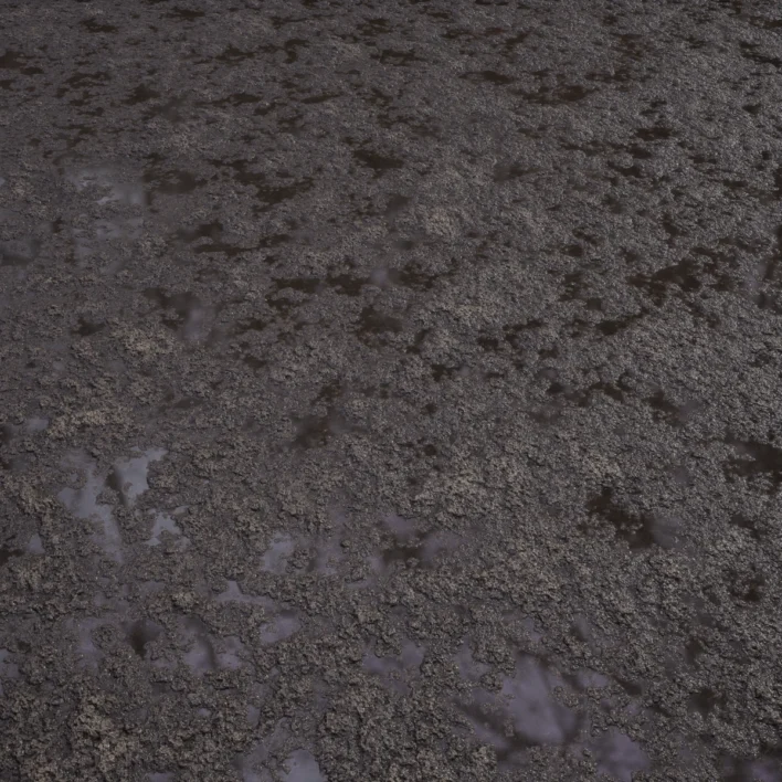 Mud PBR Texture
