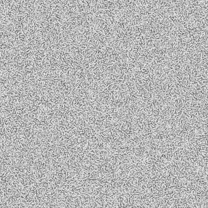 Boiled Rice PBR Texture