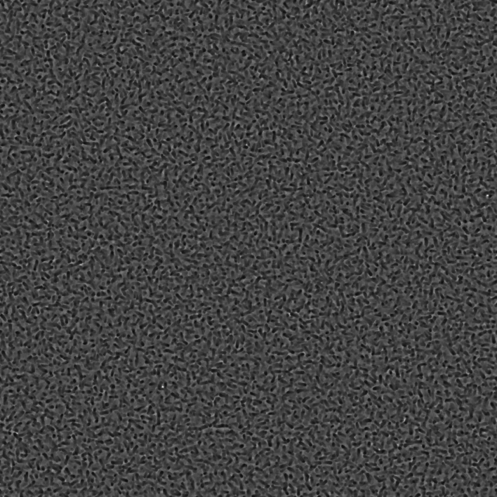 Boiled Rice PBR Texture