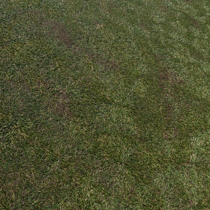 Grass Ground PBR Texture