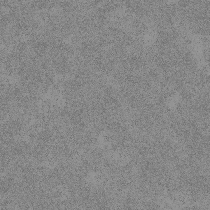 Grass Ground PBR Texture