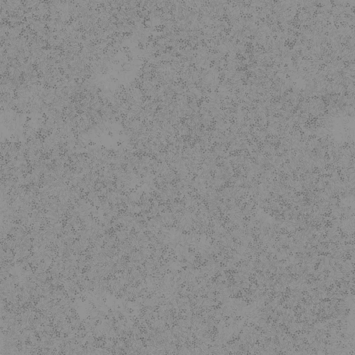 Grass Ground PBR Texture