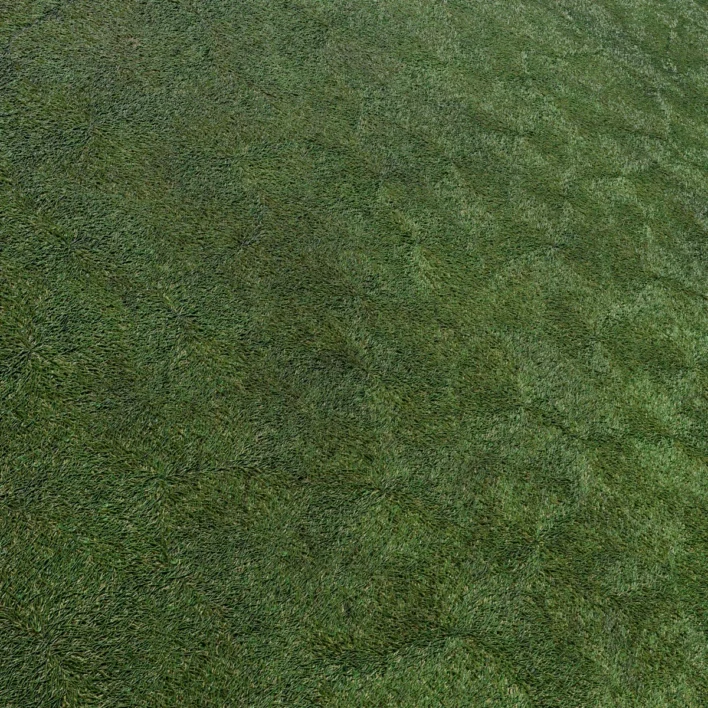 Grass Ground PBR Texture