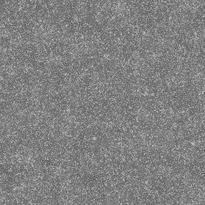 Grass Ground PBR Texture