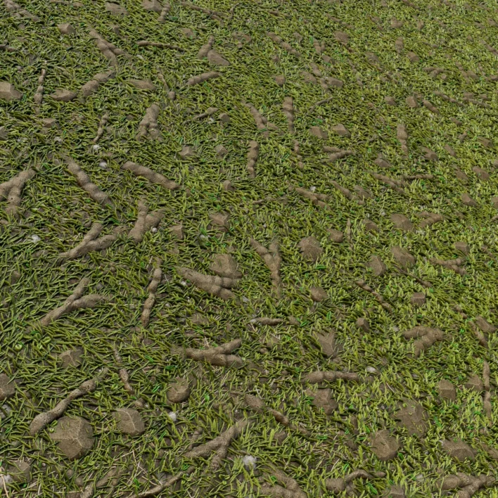Grass Ground PBR Texture