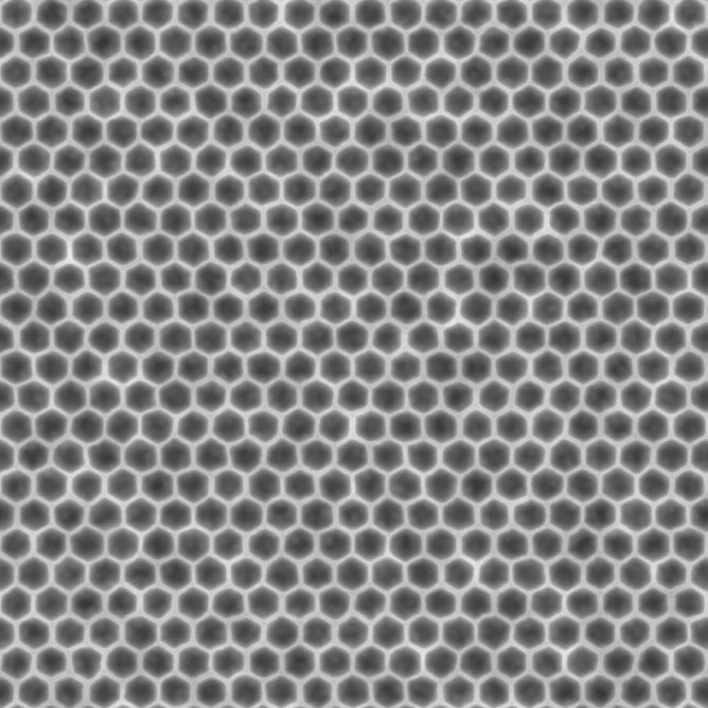 Honeycomb PBR Texture