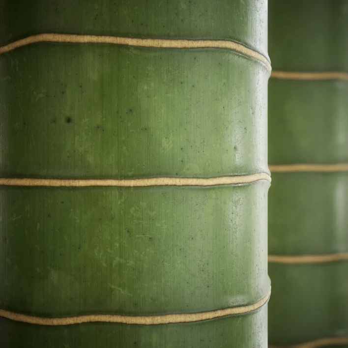 Bamboo Stem PBR Texture