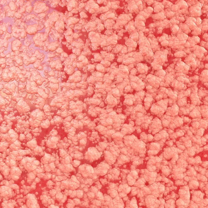 Fatty Guts PBR Texture