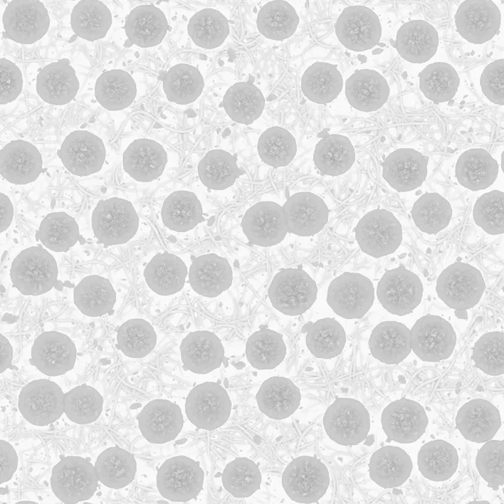 Meatball Spaghetti PBR Texture