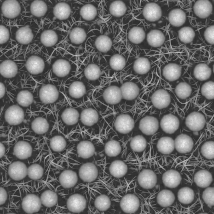 Meatball Spaghetti PBR Texture