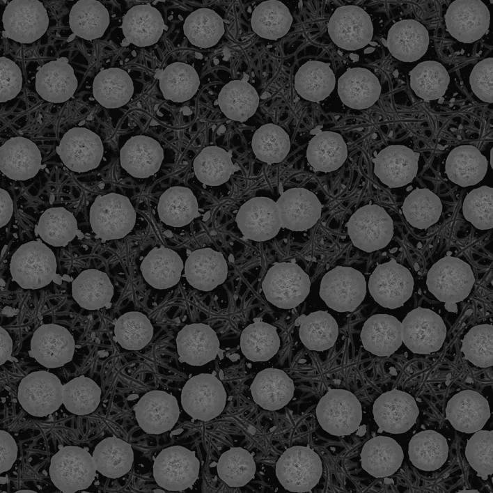 Meatball Spaghetti PBR Texture