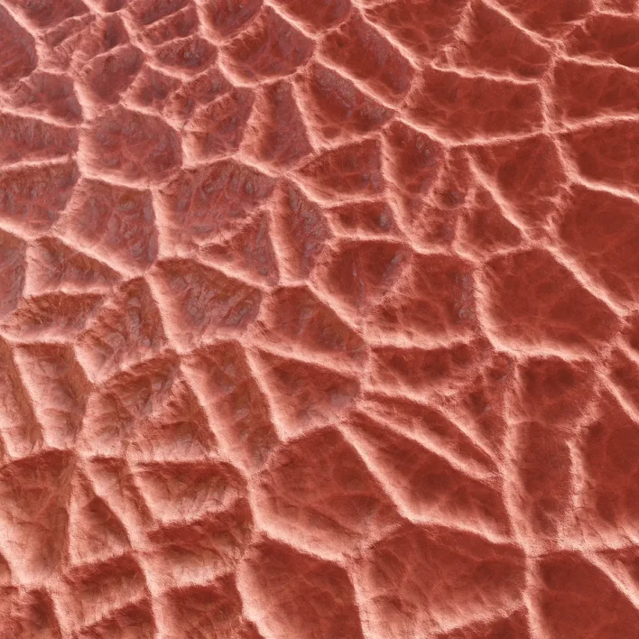 Membrane Skin PBR Texture