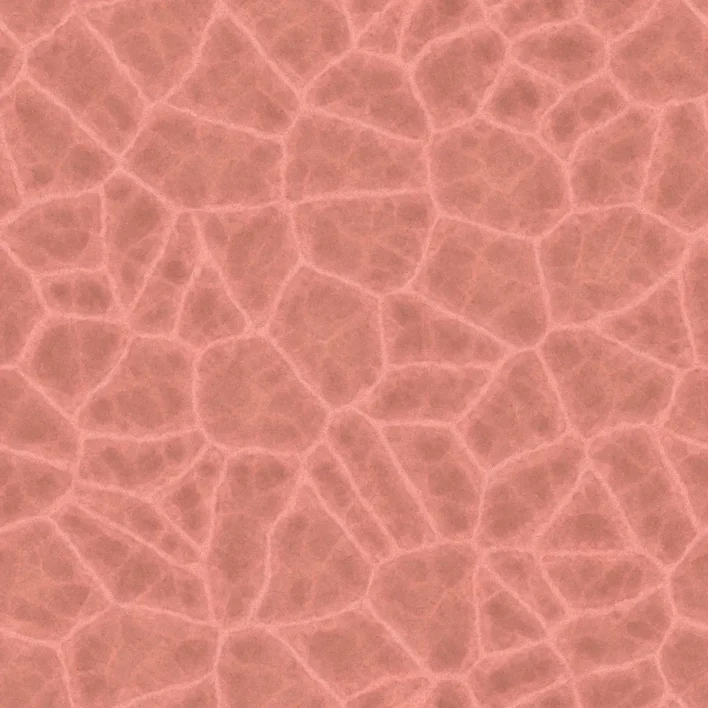 Membrane Skin PBR Texture