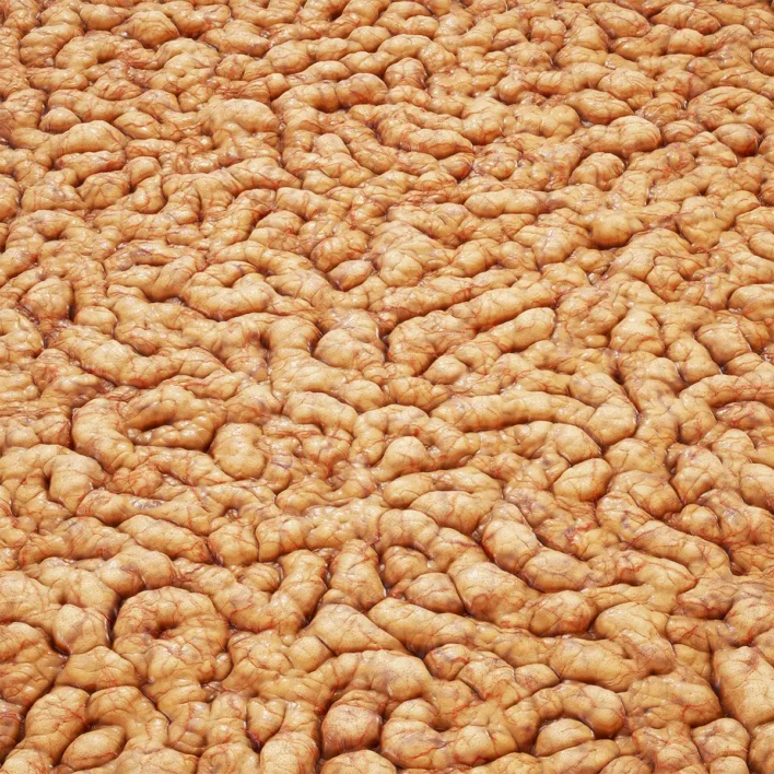 Messy Guts PBR Texture