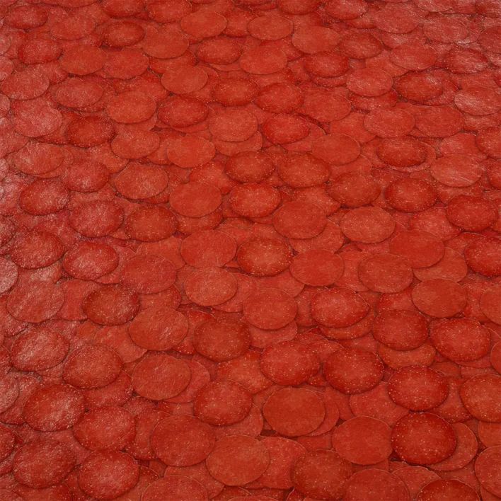 Pepperoni Slices PBR Texture