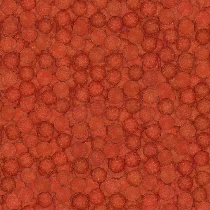 Pepperoni Slices PBR Texture