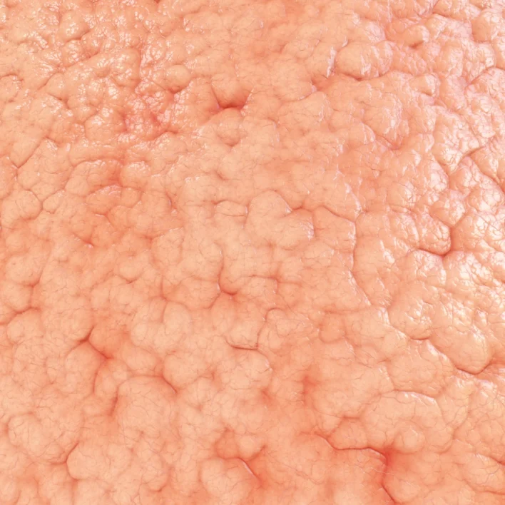 Pink Flesh PBR Texture