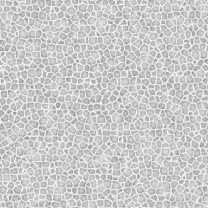 Porous Rock PBR Texture